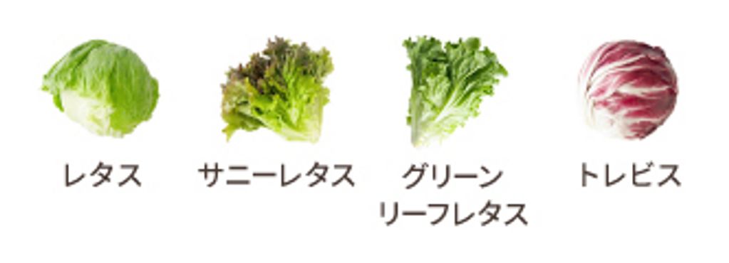 お家で作るごちそうサラダ イタリアンサラダ用 100g(2～3人前)｜サラダクラブ | Qummy(キユーミー)